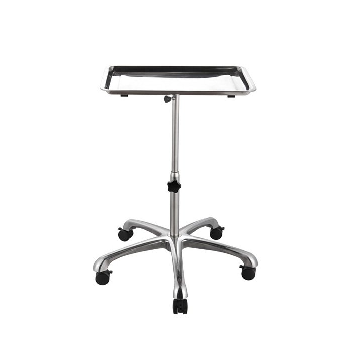 TATSoul Stainless Wheeled Mayo Tray